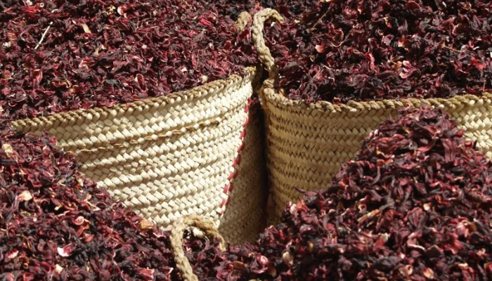 Zeenab Foods - Premium Agricultural Products