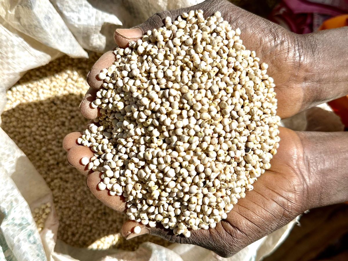 Zeenab Foods - Premium Agricultural Products